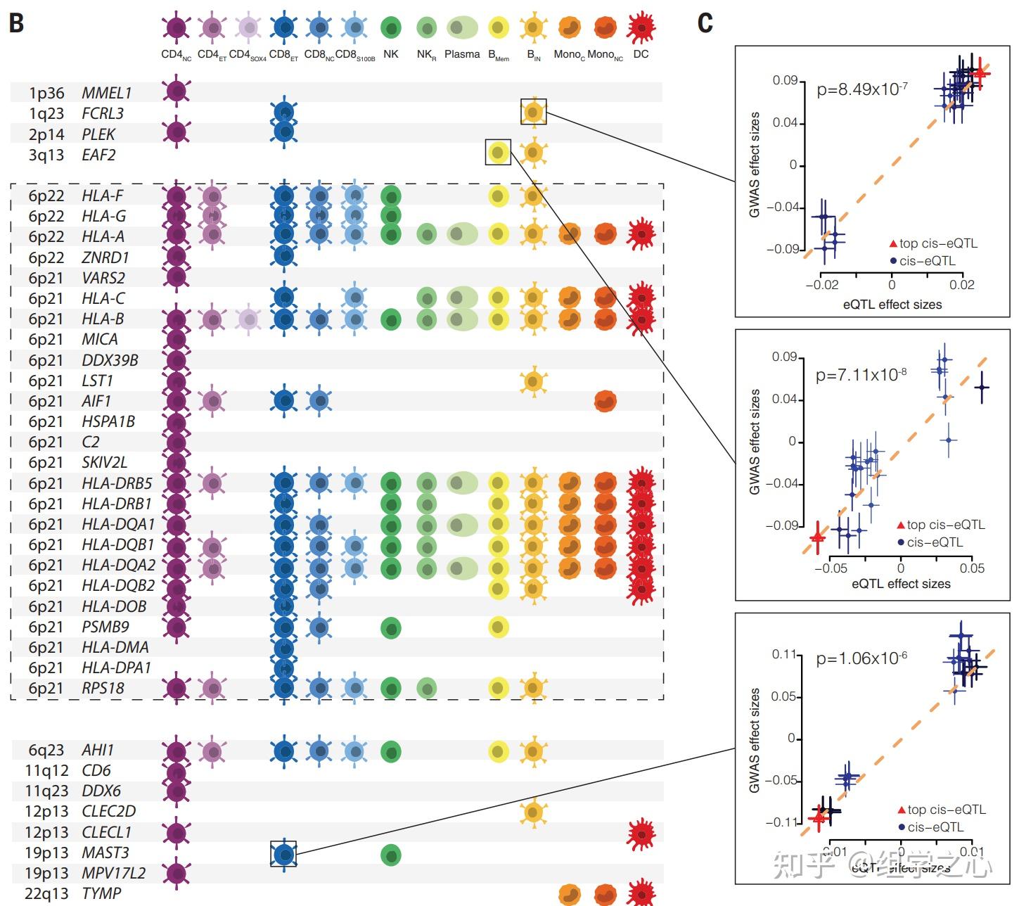 Science | 单细胞 eQTL 定位可识别自身免疫性疾病的细胞类型特异性遗传调控 - 知乎
