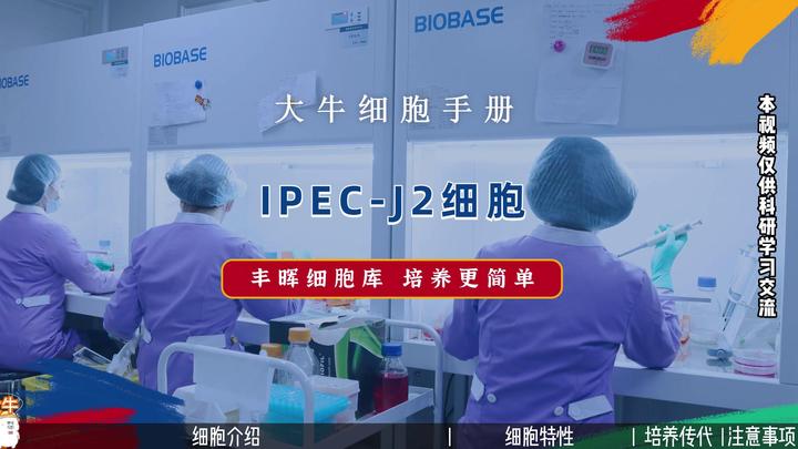 IPEC-J2细胞培养，猪正常肠上皮细胞培养攻略 - 丰晖生物 - 知乎
