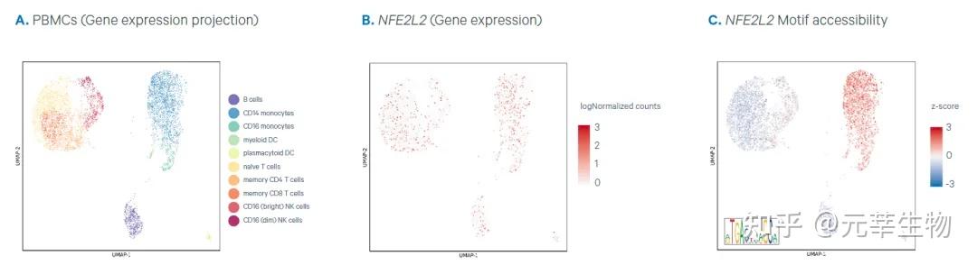 技术介绍| 单细胞多组学（一）：Multiome（ATAC + Gene Expression） - 知乎