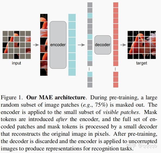 [pretrain阅读]《Context Autoencoder for Self-Supervised Representation Learning》笔记 - 知乎