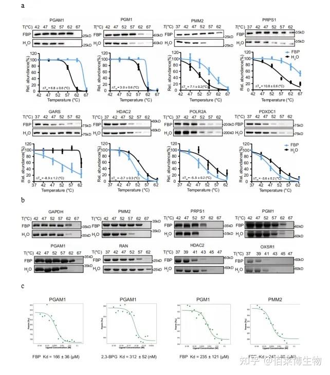TPP（热蛋白质组学）实验技术 - 知乎