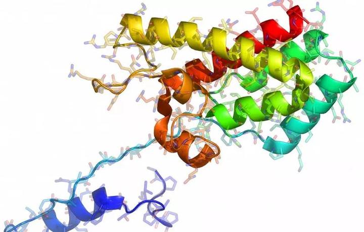 细说肿瘤标志物之癌胚抗原（CEA） - 知乎