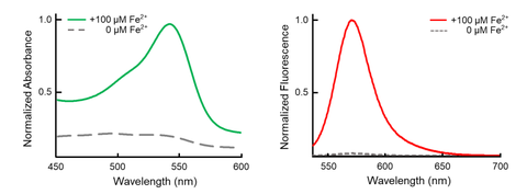FerroOrange(Fe2+检测探针) - 知乎