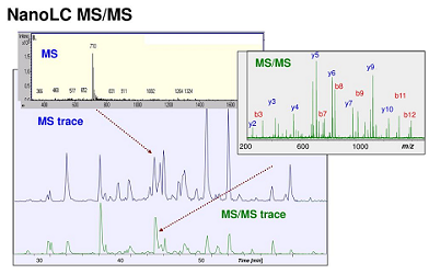 LC-MS/MS质谱分析 - 知乎