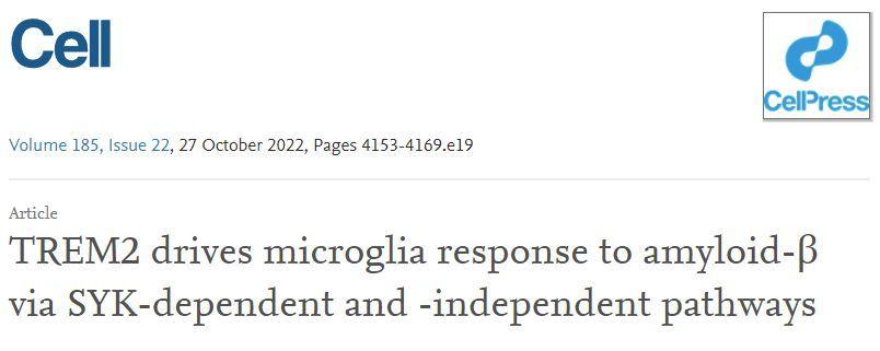 Cell：聚焦小胶质细胞中SYK依赖和非依赖途径在阿尔茨海默的作用 - 知乎