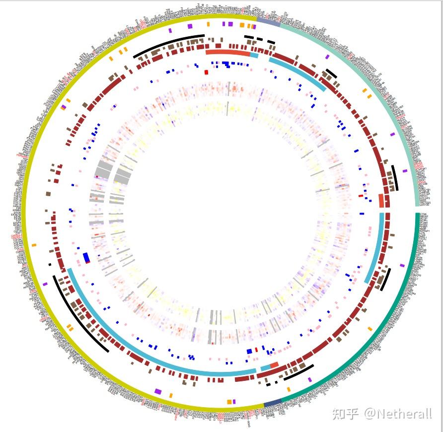 R绘图之环形热图circos - 知乎