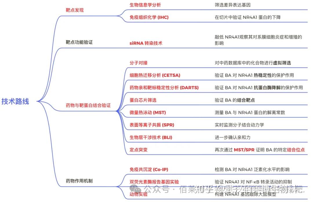 以靶找药高分分享：分子对接+SPR+MST+BLI+CETSA+DARTS全流程互作验证 - 知乎