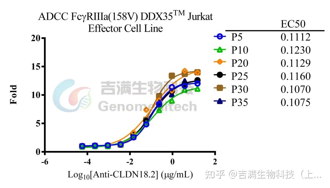 一文读懂抗体：结构、分类与ADCC/ ADCP/ CDC机制 - 知乎