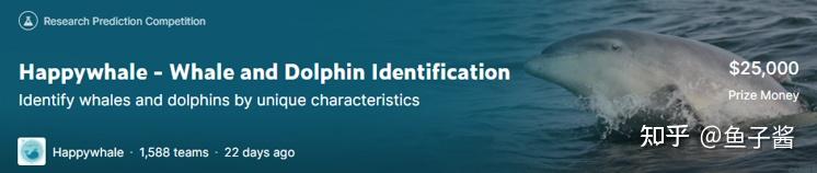 （top2%）kaggle鲸鱼海豚分类银牌baseline - 知乎