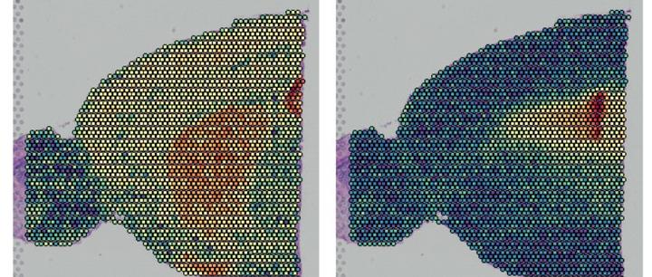 SCS【21】单细胞空间转录组可视化 (Seurat V5) - 知乎