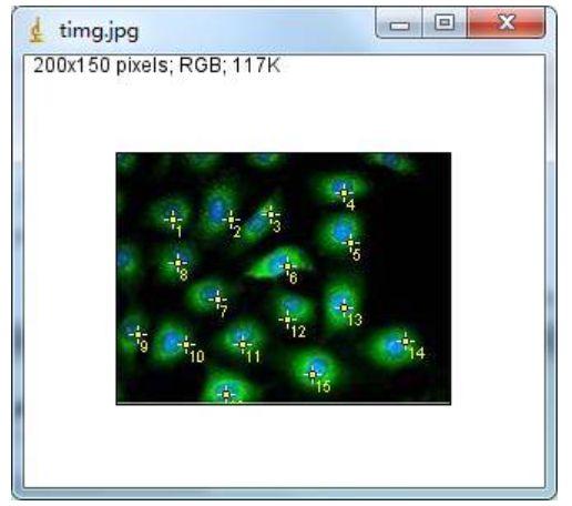 ImageJ详细安装教程 - 知乎