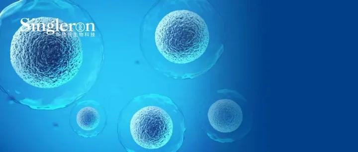 CNS新宠儿 | 出道即巅峰，单细胞eQTL研究案例大放送 - 知乎