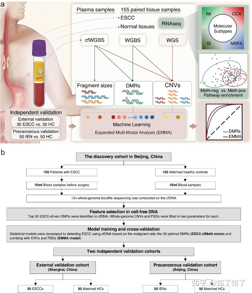 cfDNA甲基化组多模式分析早期检测食管鳞状细胞癌和癌前病变｜Nature子刊 - 知乎