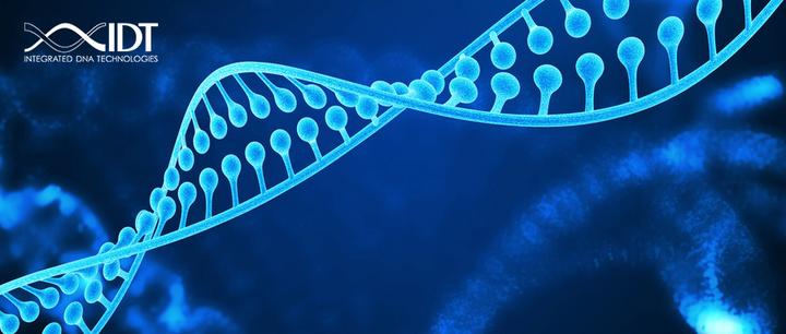 重磅 | 《iScience》期刊发表IDT公司关于镰状细胞病基因治疗的研究成果 - 知乎