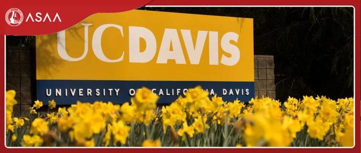 走进世界名校 | 被吐槽“村”的UCD，凭什么成为TOP38？ - 知乎