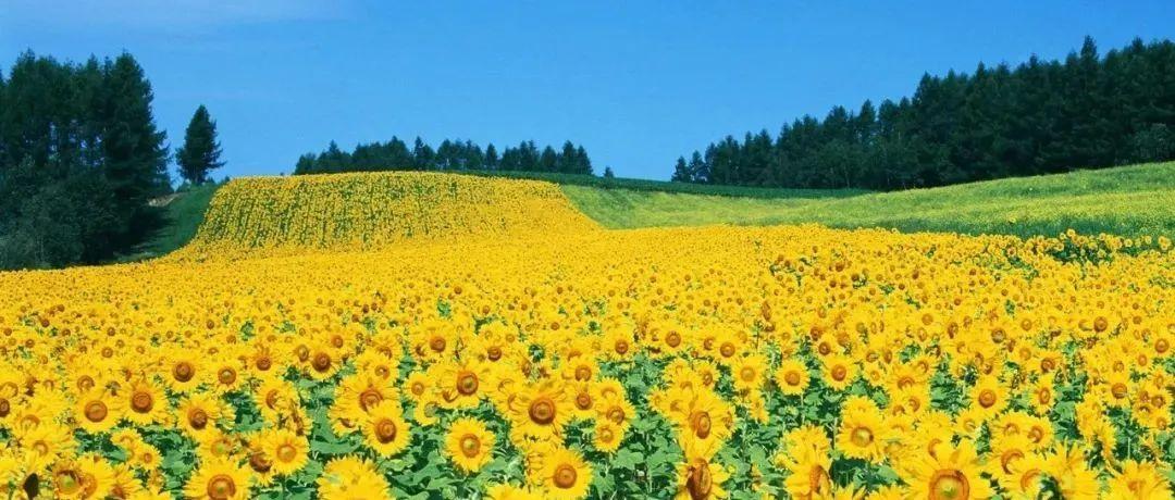 08、Linux打包解压文件-Exiting with failure status due to previous errors - 知乎