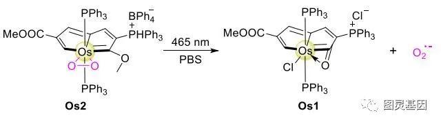Che Rev | 调节性细胞死亡机制的诱导剂 - 知乎