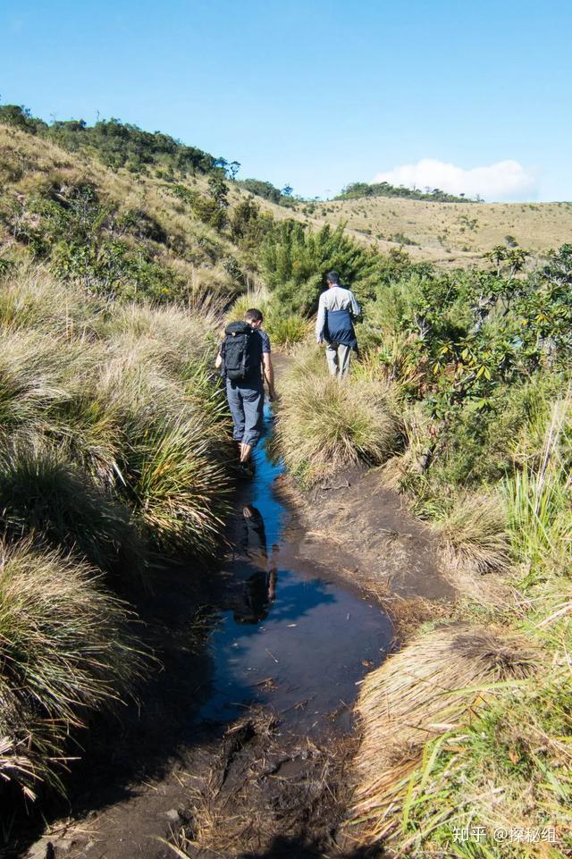斯里兰卡只有红茶？美呆的“世界尽头”你见过吗？要看还要趁早 - 知乎