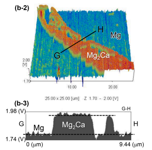 一线大佬详解！关于AFM，读这篇文章就够了 - 知乎