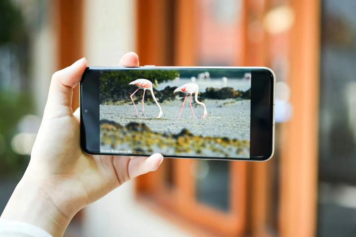 2023年（8月更新），2500-3000元手机挑选攻略 - 知乎