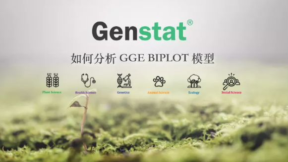 如何使用Genstat 软件实现GGE双标图 - 知乎