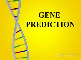 使用AUGSTUS+Geneid+GeneMark+GeMoMa+GenomeThreader+Exonerate进行基因结构预测 - 知乎