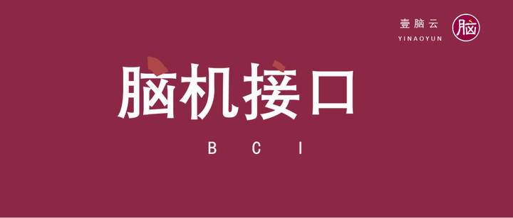 解析全球热点脑机接口平台（重磅干货） - 知乎