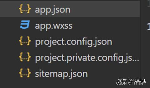 从0开始学习制作一个微信小程序 学习部分（2）json文件的说明与app.json文件的操作 - 知乎
