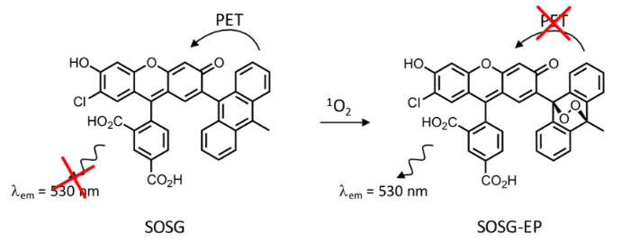单线态氧荧光探针(SOSG、ABDA、DPBF、TEMP) - 知乎