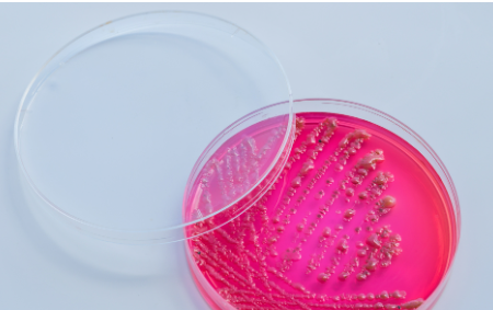 DMEM培养基成分 - 知乎