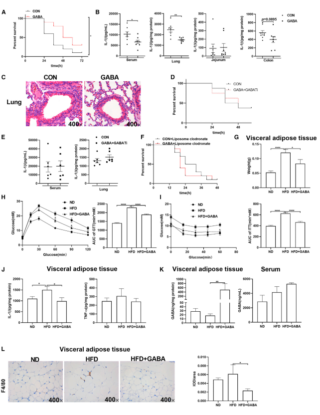 Cell Rep | 任文凯/印遇龙院士团队琥珀酰化修饰组学揭示GABA调控巨噬细胞命运机制 - 知乎