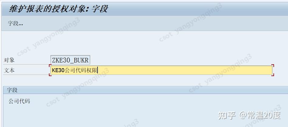 SAP-权限篇-1-KOB1&KE30限制公司代码权限 - 知乎
