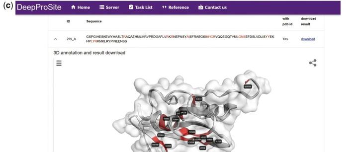 DeepProSite：基于 ESMFold 和预训练语言模型的蛋白质结合位点预测 - 知乎