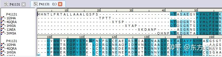 Discovery Studio官方教程（Help-Tutorials） 基于MODELER构建蛋白酶模型 - 知乎