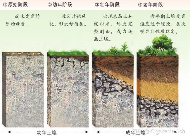 土壤基础知识（土壤类型、质地、结构及矿物质） 知乎
