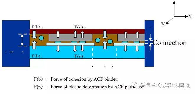 对面板良率至关重要！你有认真了解过ACF吗？ - 知乎