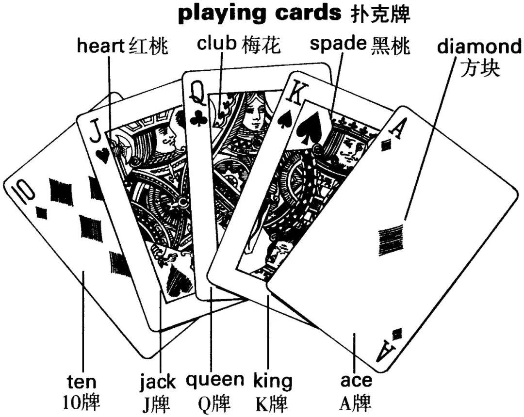 扑克牌里的Q是Queen, K是King, 那么 J 代表哪个词？你绝对想不到！ - 知乎