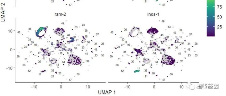 SCS【7】单细胞转录组之轨迹分析 (Monocle 3) 聚类、分类和计数细胞 - 知乎