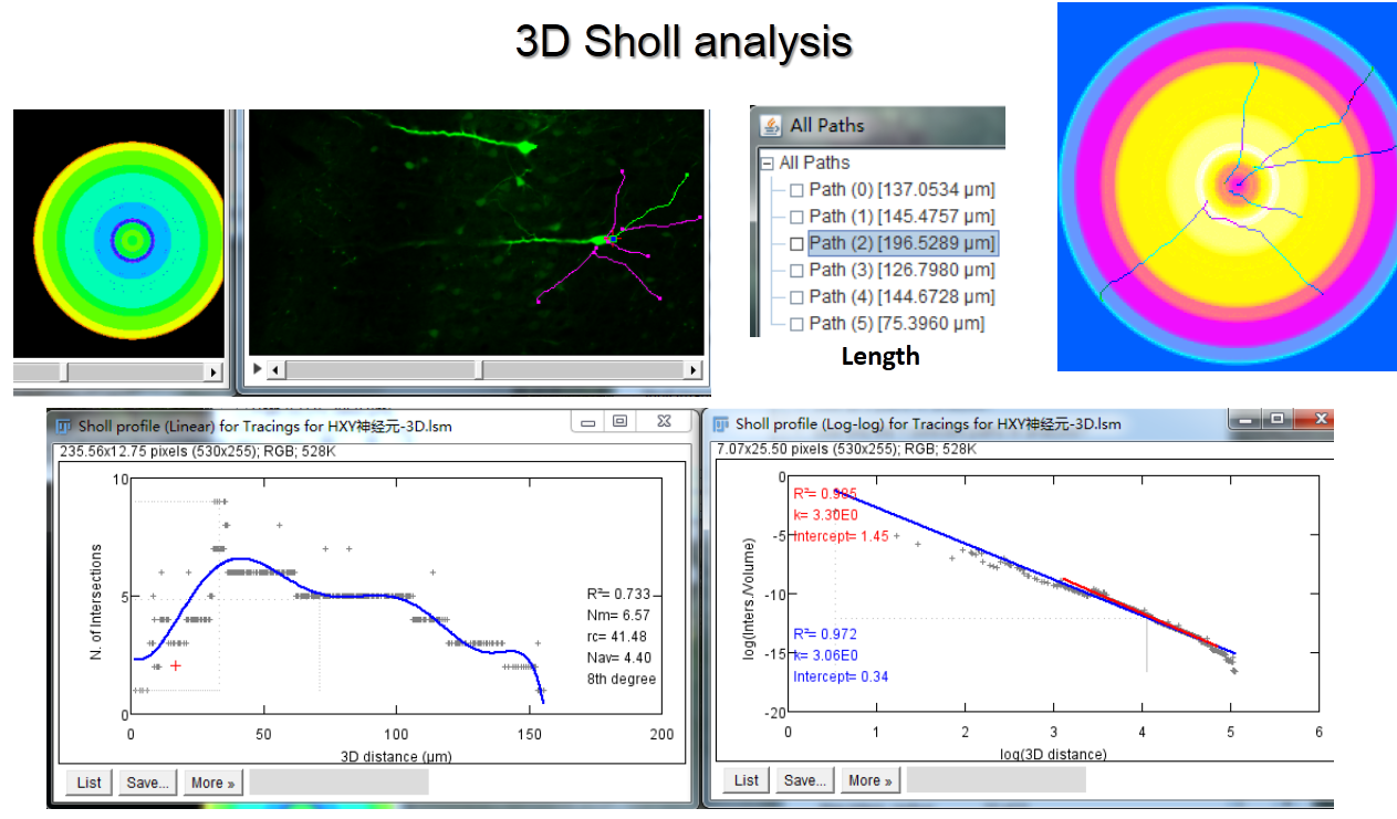 有哪些实用的ImageJ使用技巧？ - 知乎