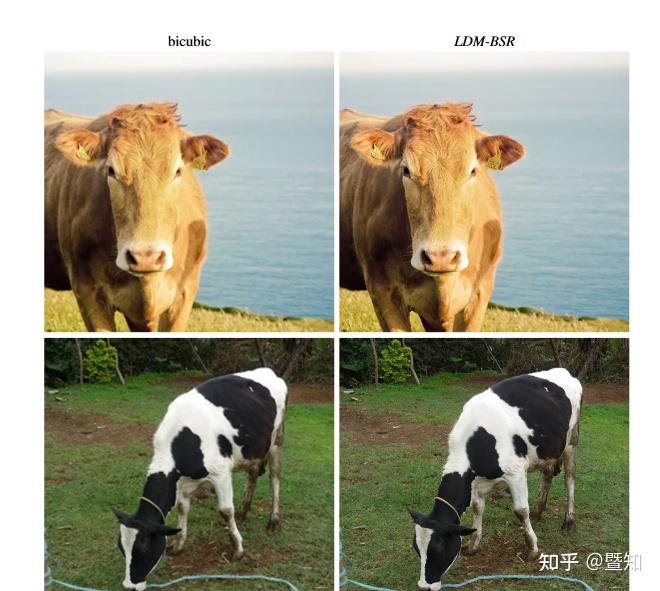 stable diffusion原始论文翻译（LDM latent diffusion model） - 知乎