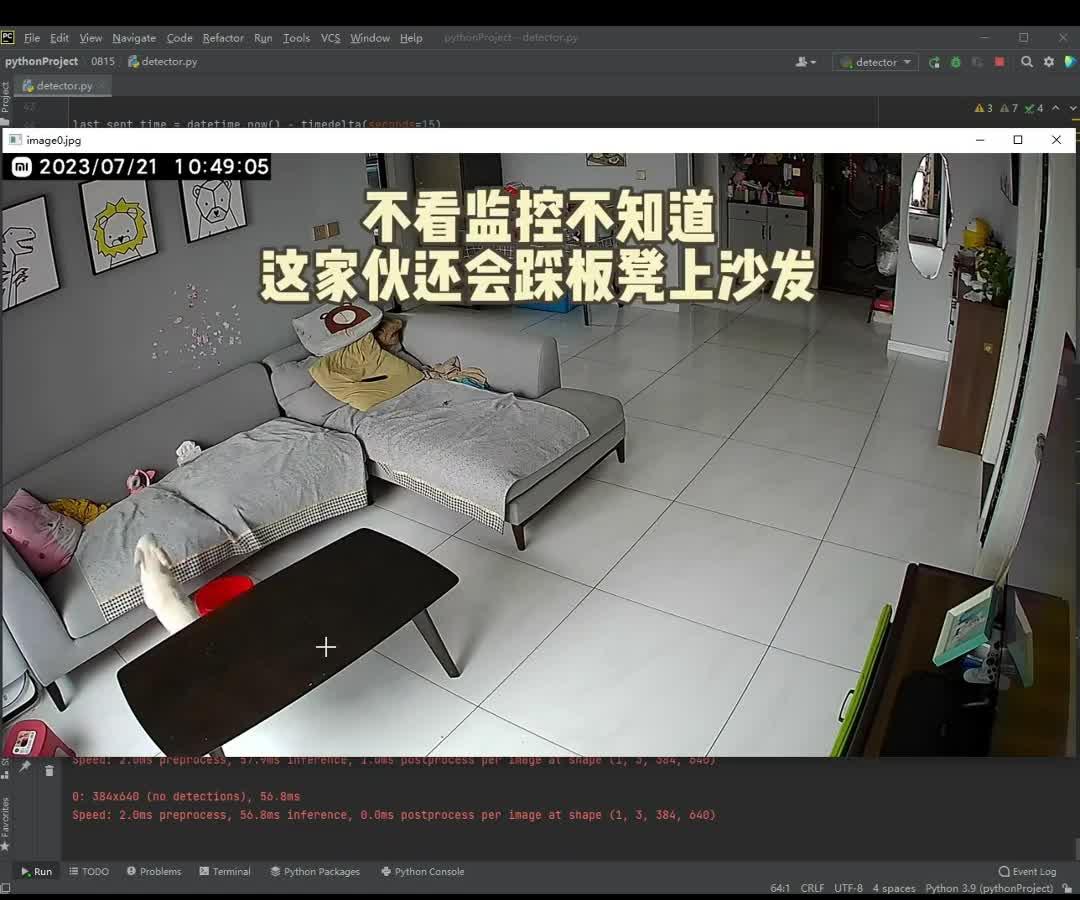 使用OpenCV和YOLOv8制作目标检测器(附源码) - 知乎