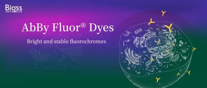 新品上市丨AbBy Fluor®抗体标记试剂盒助您轻松稳“荧” - 知乎