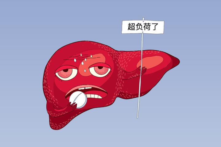 要减肥，先护肝 知乎