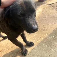 E2E-3：SparseDrive - 知乎