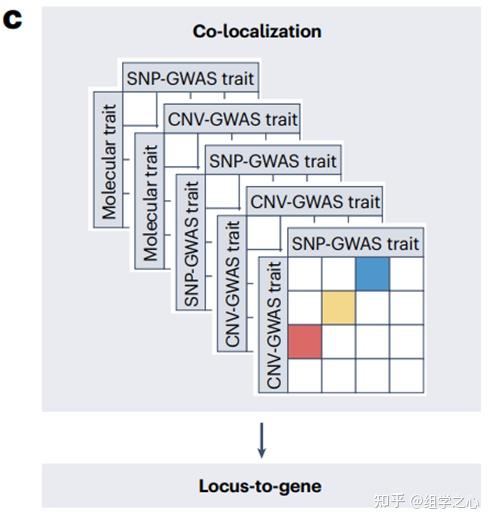 GWAS与WGS的区别？ - 知乎