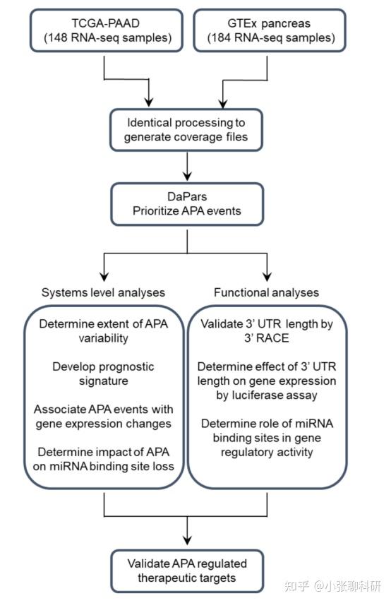 说了那么久的APA，生信发文何去何从 - 知乎