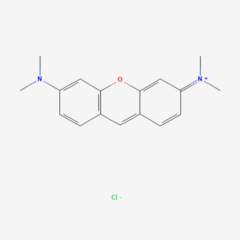 派洛宁Y（派洛宁G）；阳离子染料（RNA） - 知乎