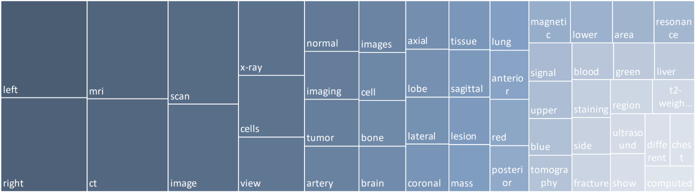 PMC-VQA 数据集介绍 - 知乎