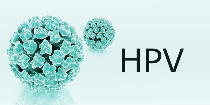 HPV6病毒感染一定会长疣体吗 - 知乎