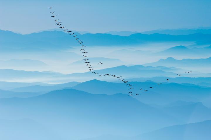 【Effective Go】7 - 嵌套 Embedding - 知乎